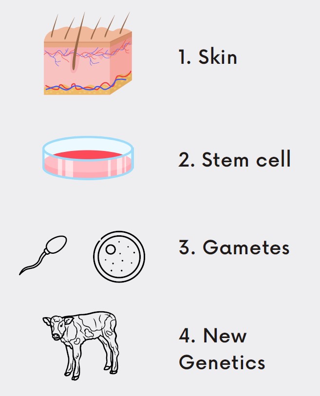 Biobanking Model – Livestock Biobanking