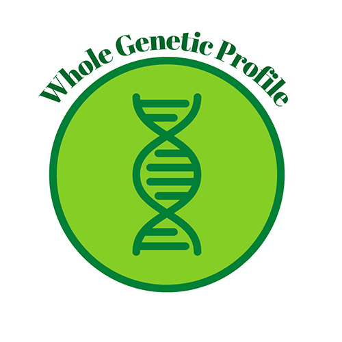 Biobanking Model – Livestock Biobanking